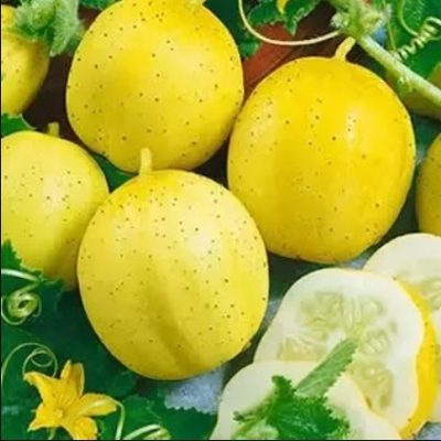 Rare Lemon Cucumber Seeds, Fruit and Vegetables Seeds, 100pcs/pack ...