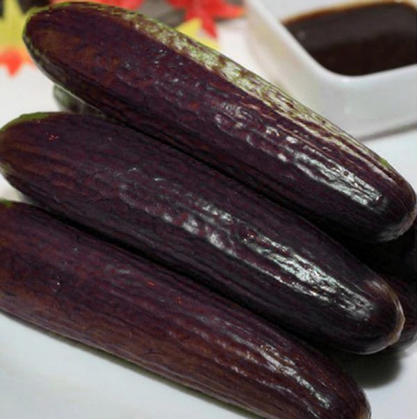 Rare Black Cucumber, 100 pcs Seeds – UrbanGardenSeed